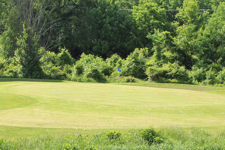 Rouge Park Golf Course Bridge | Rouge Park Golf Course